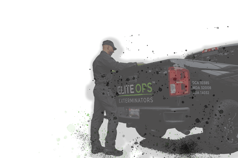 High-Profile - Elite Ops Exterminators